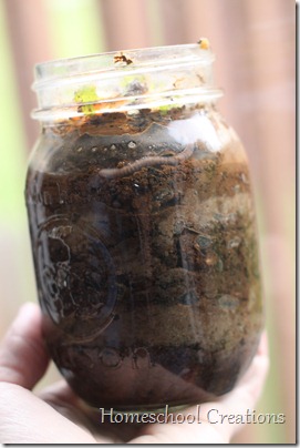 Making a Worm Jar at Home (and a Free Science Printable)